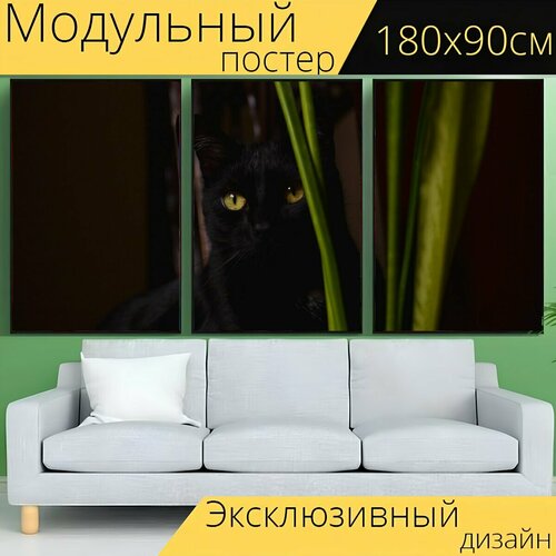 Модульный постер "Кошка, чернить, домашняя кошка" 180 x 90 см. для интерьера