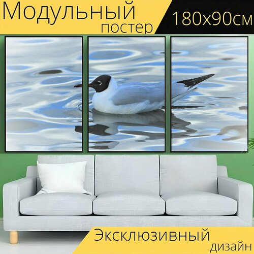 Модульный постер "Водоплавающая птица, черная чайка, чайка" 180 x 90 см. для интерьера