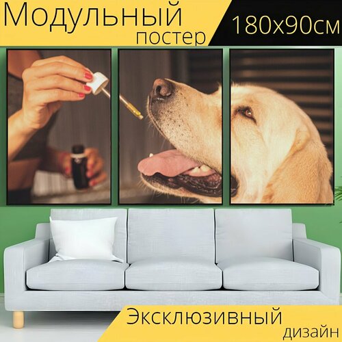 Модульный постер "Масло кбр, собака, домашний питомец" 180 x 90 см. для интерьера