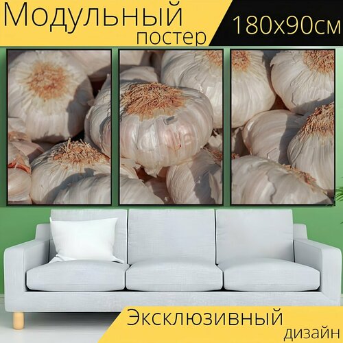Модульный постер "Чеснок, ароматическое растение, луковица чеснока" 180 x 90 см. для интерьера