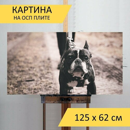 Картина на ОСП 125х62 см. "Французский бульдог, собака, черное и белое" горизонтальная, для интерьера, с креплениями