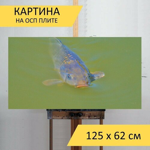 Картина на ОСП 125х62 см. "Карп, рыбы, выскакивать" горизонтальная, для интерьера, с креплениями