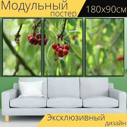 Модульный постер "Вишни, фрукты, красный" 180 x 90 см. для интерьера