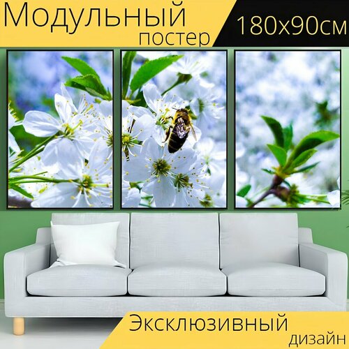 Модульный постер "Вишни в цвету, цветы, пчела" 180 x 90 см. для интерьера
