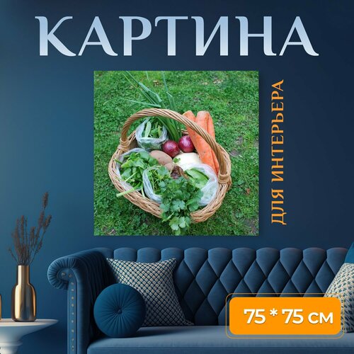 Картина на холсте "Зеленый, морковь, еда" на подрамнике 75х75 см. для интерьера