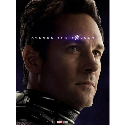 Плакат, постер на холсте Avengers: Endgame Collection /Мстители: Финал/Человек муравей/искусство/арт/абстракция/творчество. Размер 60 х 84 см