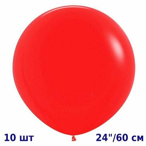 Воздушные шары (10шт, 60см) Красный, Пастель / Red / SEMPERTEX S.A, Колумбия