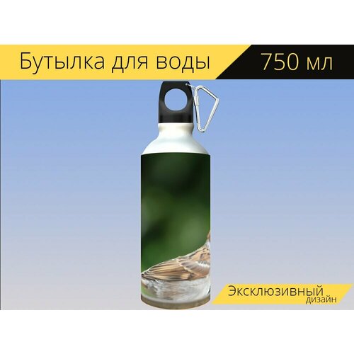 Бутылка фляга для воды "Воробей, сперлинг, птица" 750 мл. с карабином и принтом