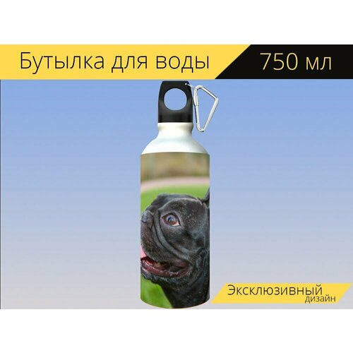 Бутылка фляга для воды "Французский бульдог, собака, животное" 750 мл. с карабином и принтом