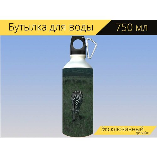 Бутылка фляга для воды "Зебра, сафари, африка" 750 мл. с карабином и принтом