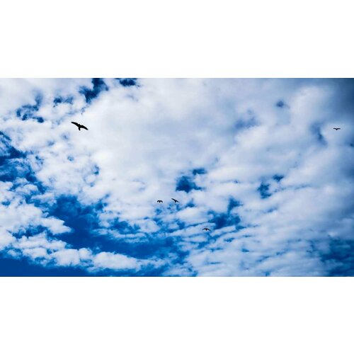 Картина на холсте 60x110 LinxOne "Природа Небо Птица Облака" интерьерная для дома / на стену / на кухню / с подрамником