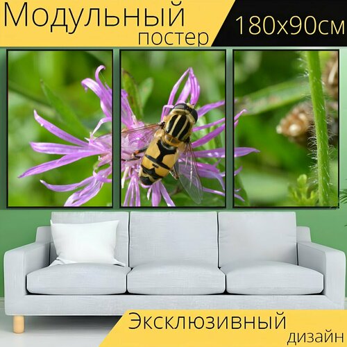 Модульный постер "Природа, насекомое, летом" 180 x 90 см. для интерьера