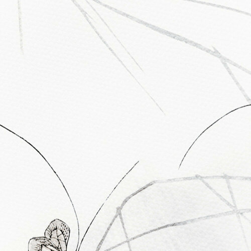 Картина на холсте, репродукция / Моримото Токо - Судзумуси колокольный крикет / Размер 40 x 53 см