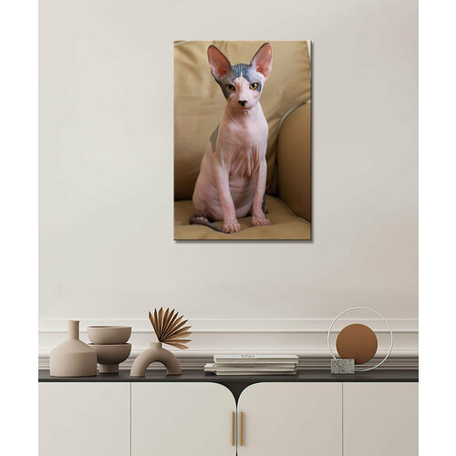 Картина - кошка, канадский сфинкс, безшерстная кошка, домашняя кошка, ласковая кошка, кот (165) 60х80