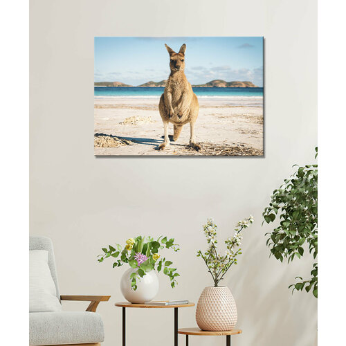 Картина - кенгуру, маленький кенгуру, кенгуру на берегу, длинноухий кенгуру (29) 50х70