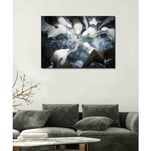 Картина/Картина на холсте для интерьера/Картина на стену/Картина для кухни/ -Королевский альбатрос (3) 40х60