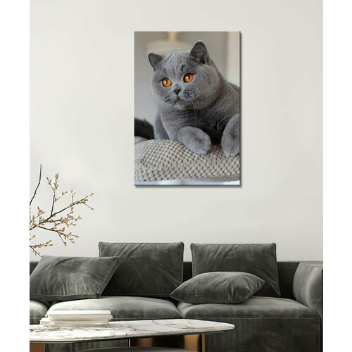 Картина - кошка, британская короткошёрстная кошка, домашняя кошка, ласковая кошка, кот (213) 50х70