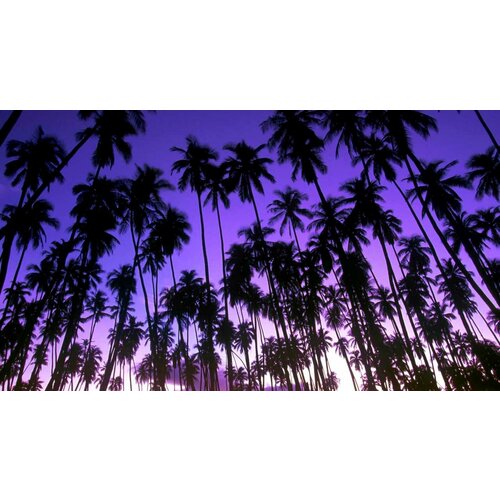 Картина на холсте 60x110 Альянс Лес "Пальмовая роща США Гавайи" на подрамнике / интерьер/ декор