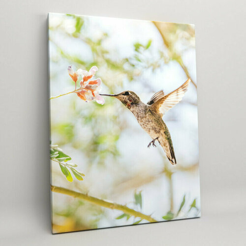 Картина на холсте (интерьерный постер) "Птичка колибри в полете", с деревянным подрамником, размер 30x40 см