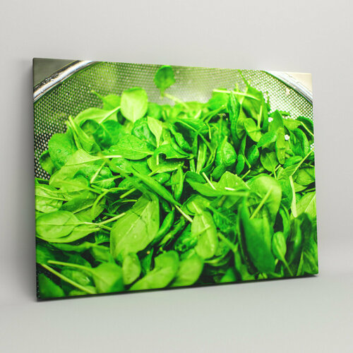 Картина на холсте (интерьерный постер) "Зеленый шпинат" для кухни, кафе и ресторанов, с деревянным подрамником, размер 40x30 см