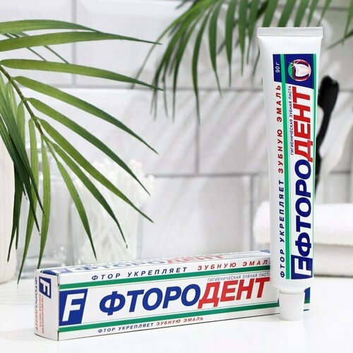 Зубная паста «Фтородент», в упаковке, 90 г (комплект из 17 шт)