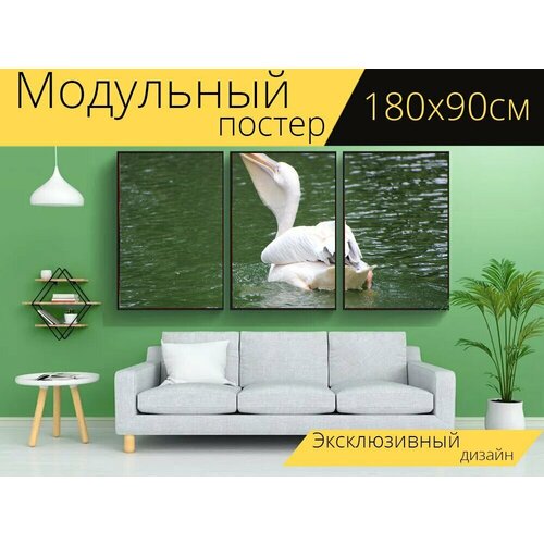 Модульный постер "Пеликан, птица, озеро" 180 x 90 см. для интерьера