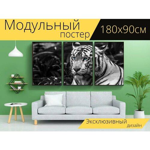 Модульный постер "Тигр, глаза, синий" 180 x 90 см. для интерьера