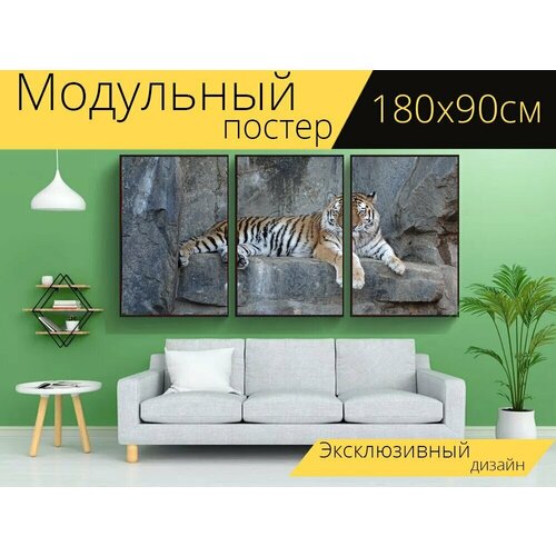 Модульный постер "Тигр, сибирский, хищник" 180 x 90 см. для интерьера
