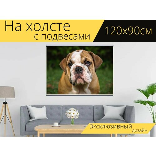 Картина на холсте "Английский бульдог, собака, млекопитающее" с подвесами 120х90 см. для интерьера