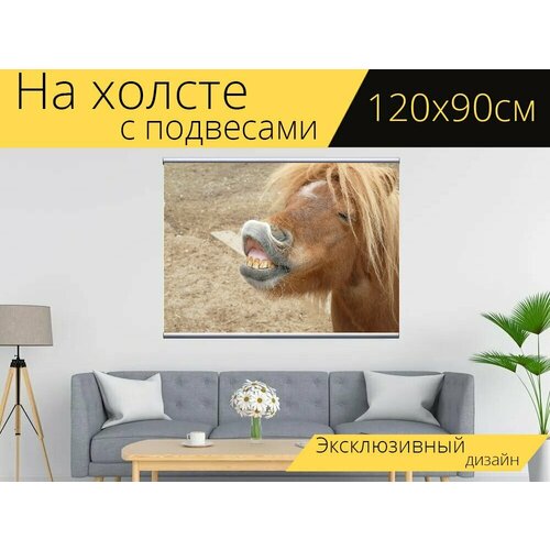 Картина на холсте "Пони, маленькая лошадь, лошадь" с подвесами 120х90 см. для интерьера