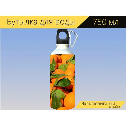 Бутылка фляга для воды "Апельсины, фрукты, цитрусовый фрукт" 750 мл. с карабином и принтом