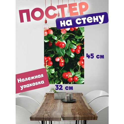 Плакат на стену 32х45 Эстетика клюквы