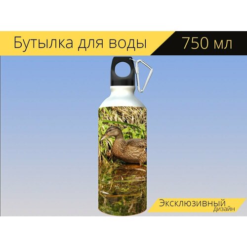 Бутылка фляга для воды "Утка, женский, птица" 750 мл. с карабином и принтом