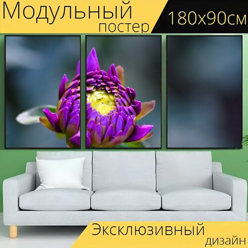 Модульный постер "Цветок, лепестки, цветущий" 180 x 90 см. для интерьера