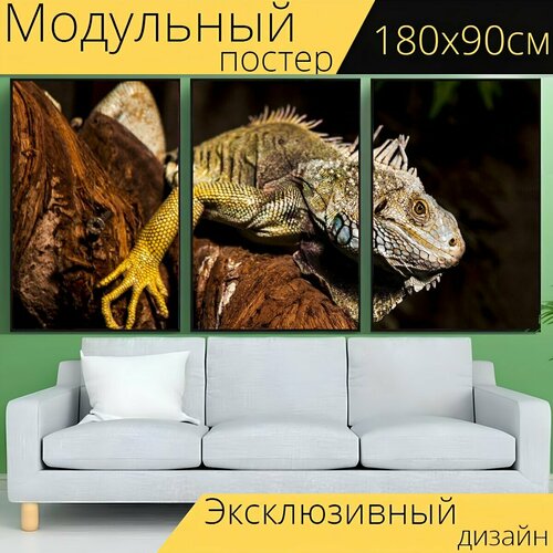 Модульный постер "Игуана, рептилия, животное" 180 x 90 см. для интерьера