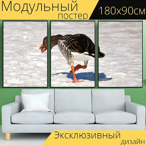 Модульный постер "Гусь, буханка, бежать" 180 x 90 см. для интерьера