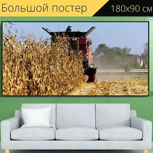 Большой постер "Кукуруза, уборка урожая, зерноуборочный комбайн" 180 x 90 см. для интерьера