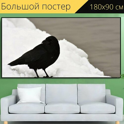 Большой постер "Ворона, ворон, снег" 180 x 90 см. для интерьера