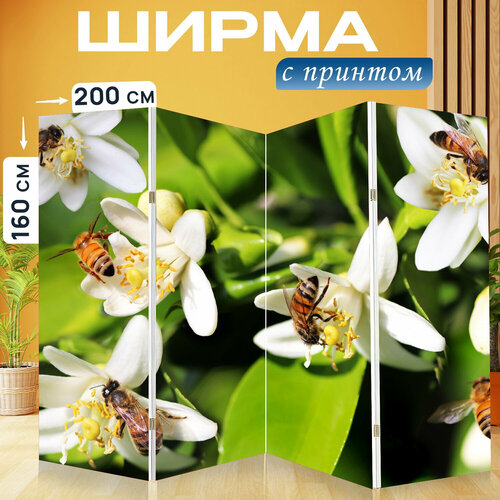 Ширма перегородка с принтом "Пчелы, насекомые, цветы" на холсте - 200x160 см. для зонирования, раскладная