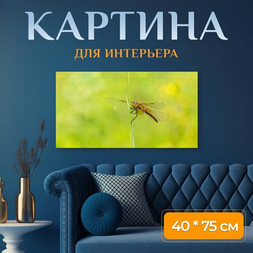 Картина на холсте "Стрекоза, насекомое, лист" на подрамнике 75х40 см. для интерьера