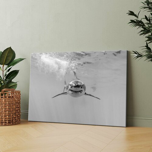 Картина на холсте (Большая белая акула плавает в океане) 40x60 см. Интерьерная, на стену.