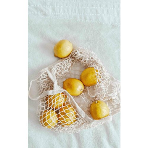 Картина на холсте 60x110 LinxOne "Лимоны, фрукты, цитрус, сетка" интерьерная для дома / на стену / на кухню / с подрамником