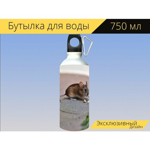 Бутылка фляга для воды "Домовая мышь, мышь, длиннохвостая мышь" 750 мл. с карабином и принтом