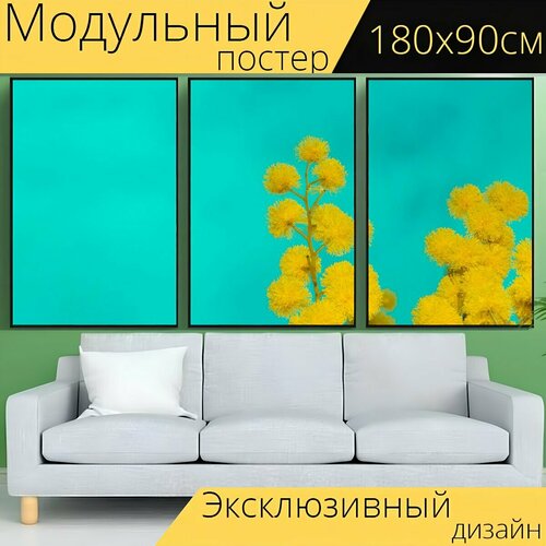 Модульный постер "Мимоза, цветок, помпон" 180 x 90 см. для интерьера