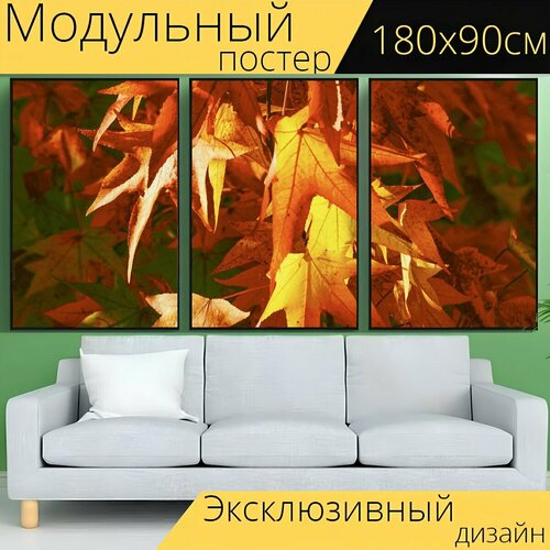 Модульный постер "Падение, листья, осенний цвет" 180 x 90 см. для интерьера