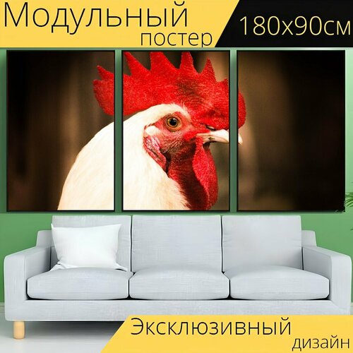 Модульный постер "Петух, курица, птица" 180 x 90 см. для интерьера