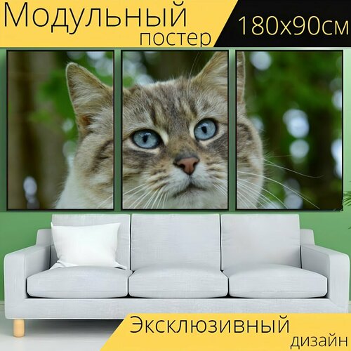 Модульный постер "Кошка, кот, портрет кошки" 180 x 90 см. для интерьера
