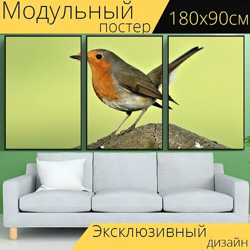 Модульный постер "Робин, птица, камень" 180 x 90 см. для интерьера