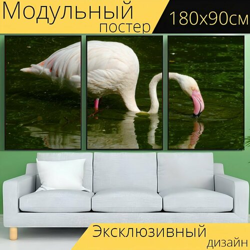 Модульный постер "Фламинго, пруд, птица" 180 x 90 см. для интерьера