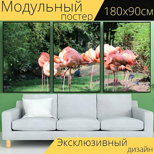 Модульный постер "Розовые фламинго, птицы, парк" 180 x 90 см. для интерьера